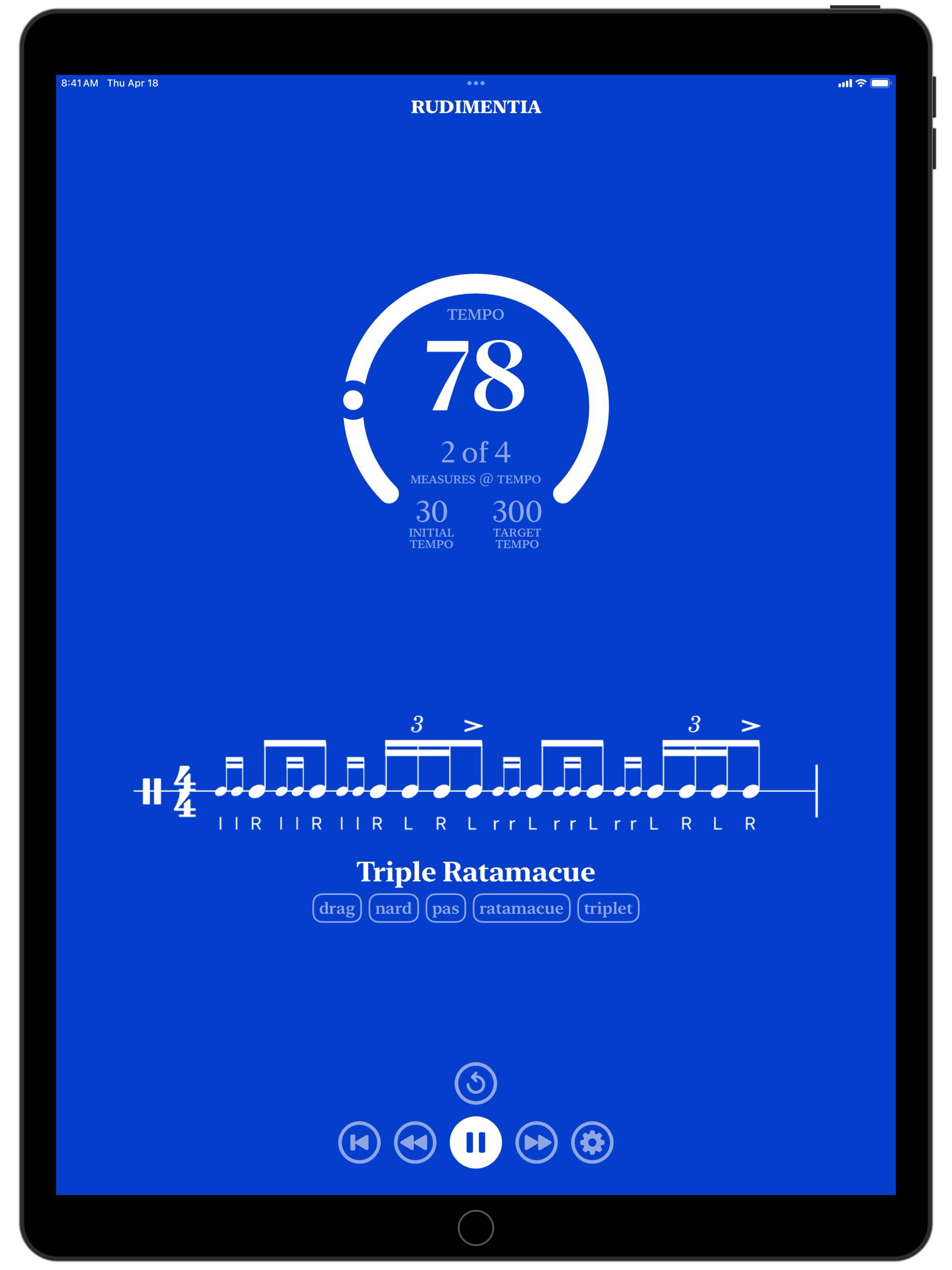 Encyclopedia Rudimentia App | Ryan Alexander Bloom